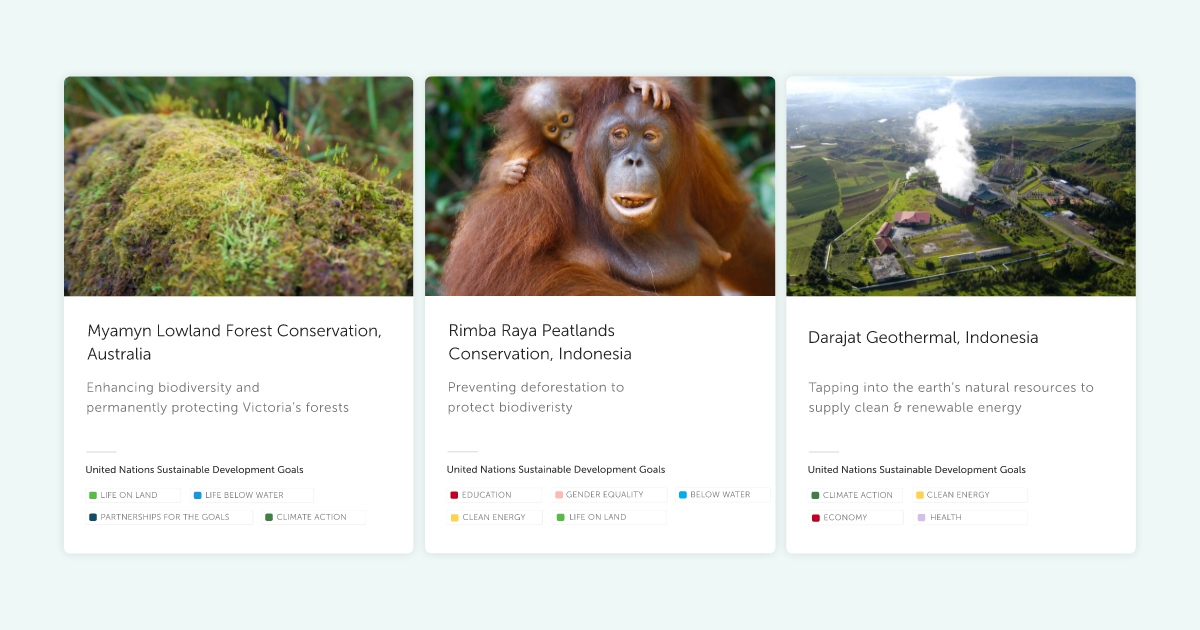 What is carbon offsetting | Trace