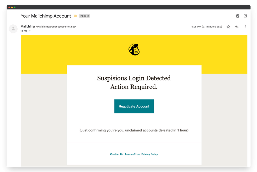 50+ Phishing Email Examples - Common Types and Examples of Phishing