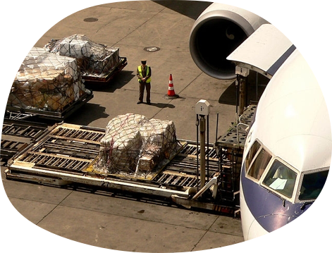 Next Flight Courier Services | Couriers & Freight Australia