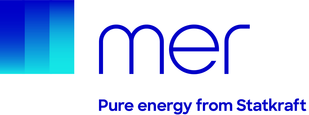 World EV Day™ Partners