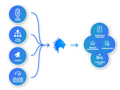 Leomed - The backbone for the monitoring of patients