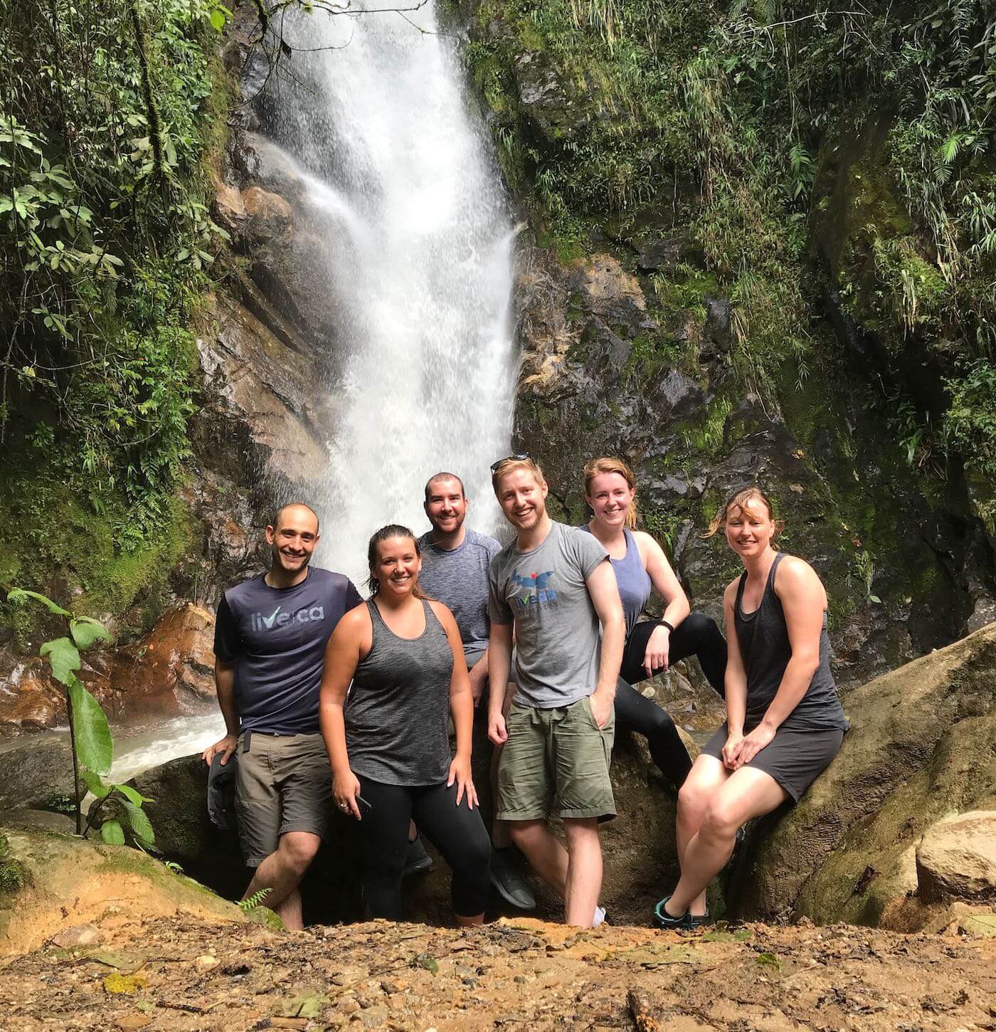 Careers • LiveCA - Online Chartered Accounting