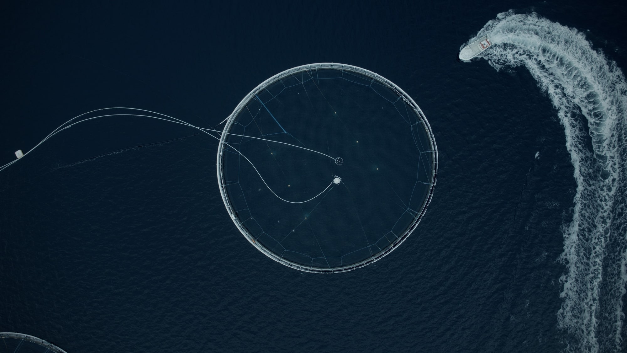 Cflow brings maritime data to life, powered by Clarify