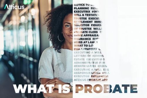 Beginner's Guide to Probate