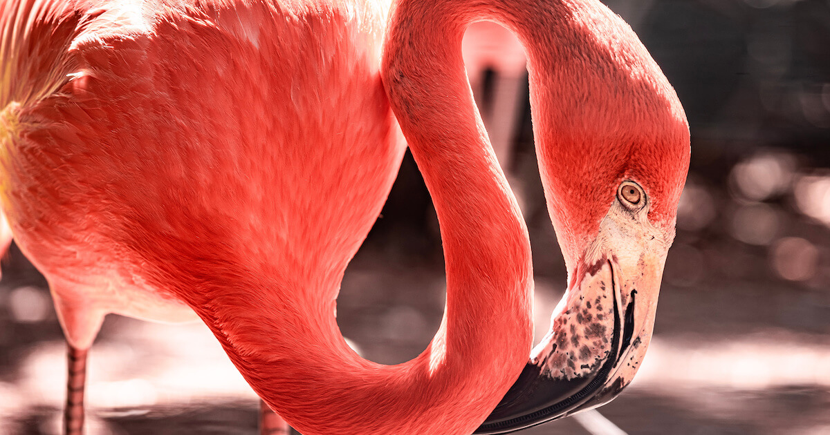 The Best Pelvic Floor Wands According to Our Expert Pelvic Floor ...