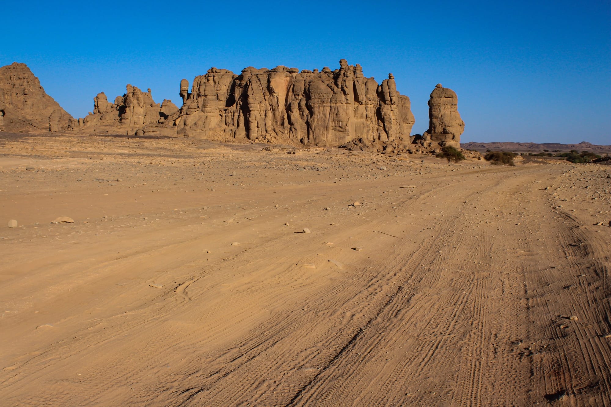 Einsatzland: Tschad, Afrika | SAM global