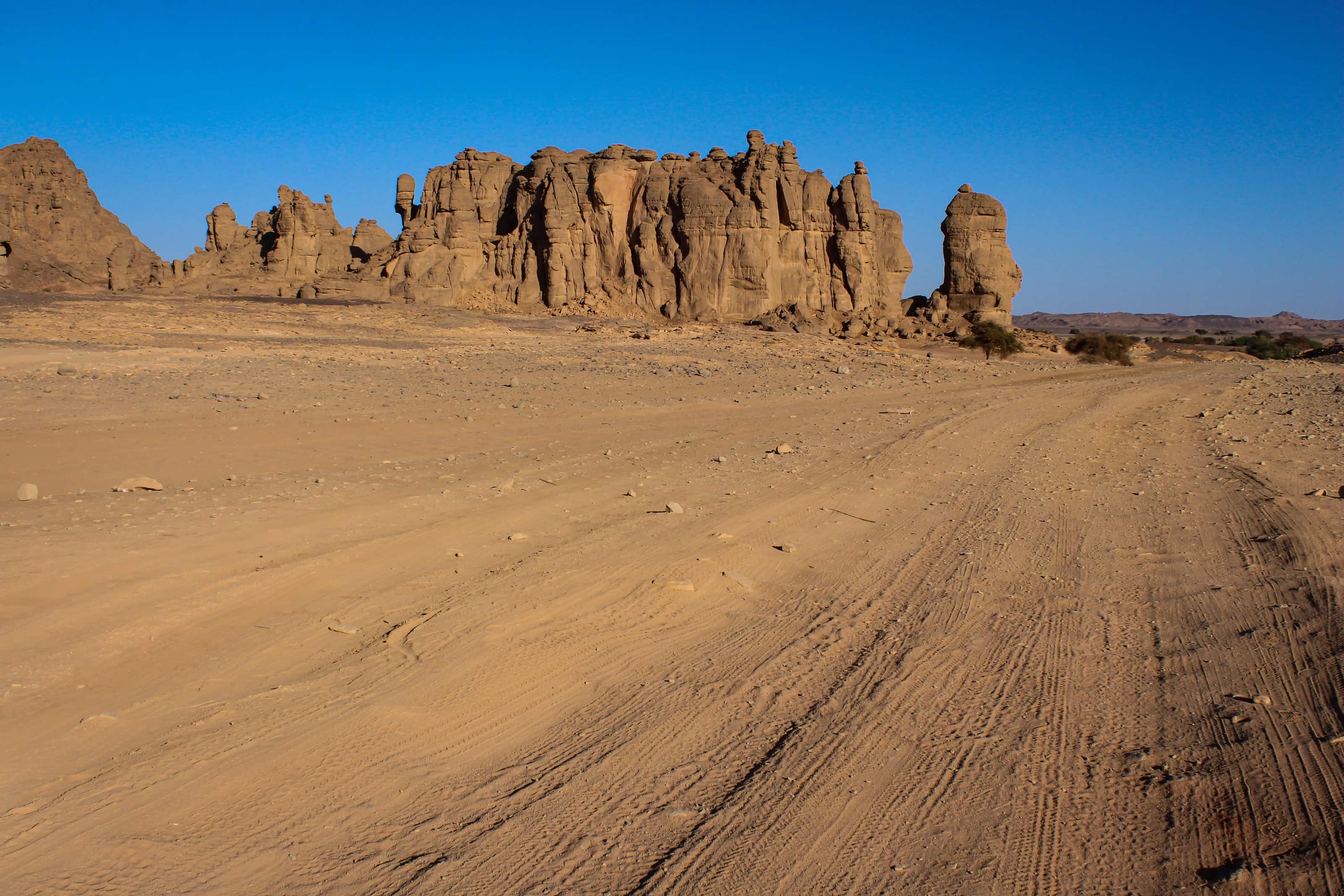 Einsatzland: Tschad, Afrika | SAM global