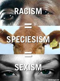 Episode 2: Speciesism (and Why It Matters)