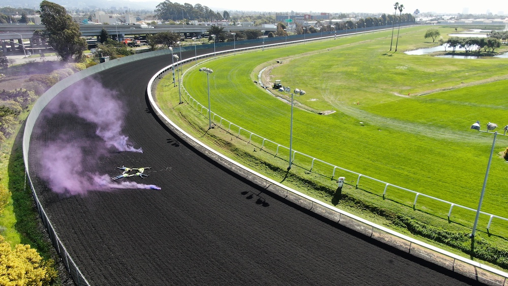 California racetrack suing animal-rights activists for disrupting horse ...