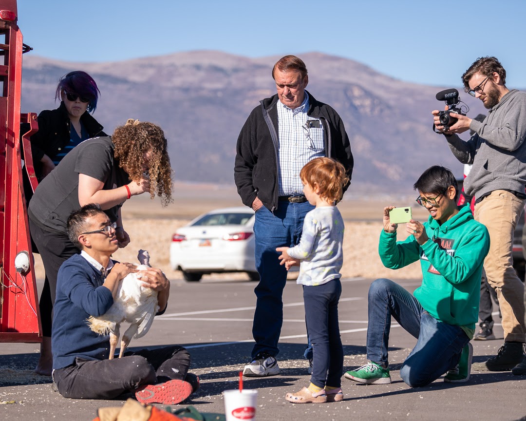 Thanksgiving Miracle: Utah Farmer Releases Turkeys to Whistleblowers ...