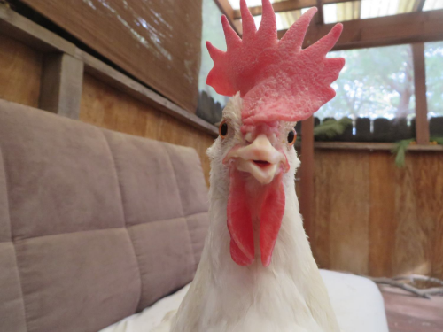 Respecting Gender Identity