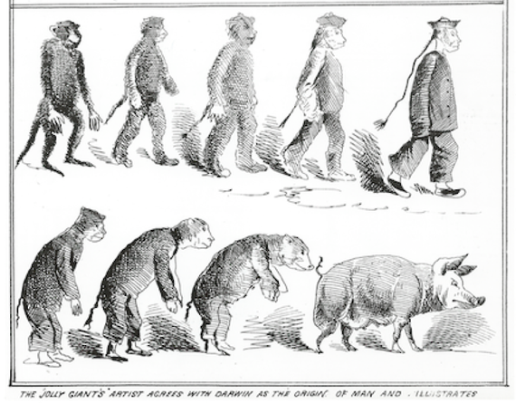 (Video) The Color of a Movement: The Curious Story of Race and Animal ...