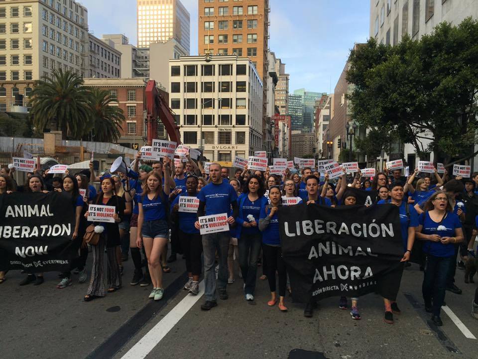 Theories, Evidence, and How DxE Monitors Our Activism