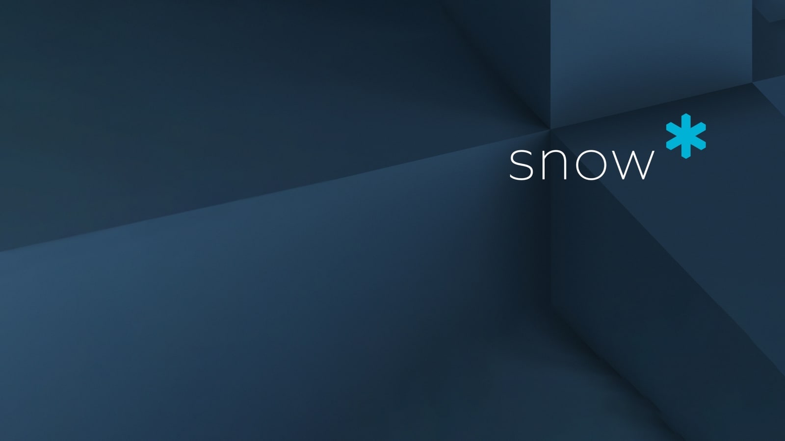 Snow Software - Webbshop hos WillShop