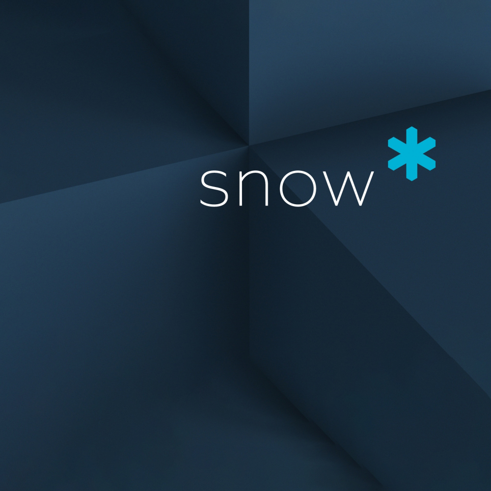 Snow Software - Webbshop hos WillShop