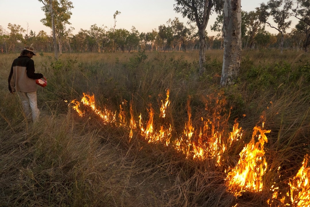 Sustainable savanna burning on Tiwi Islands, Australia | Trace