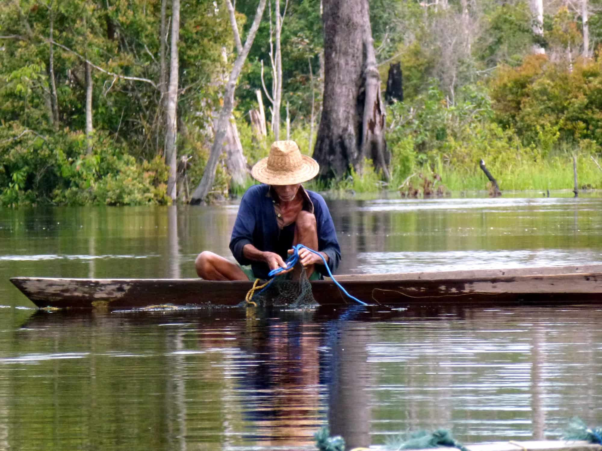 Katingan Peatlands Conservation, Indonesia | Trace