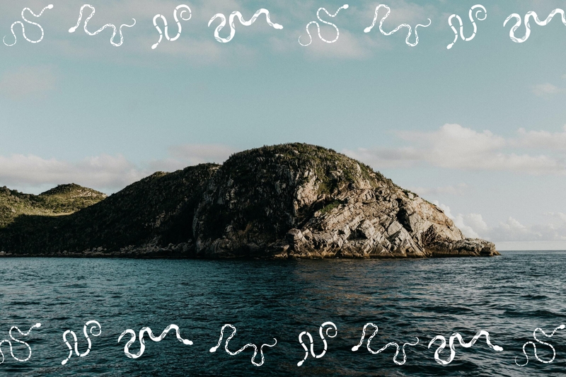 Meet Snake Island: The Tiny Island Full of Snakes — Skratch