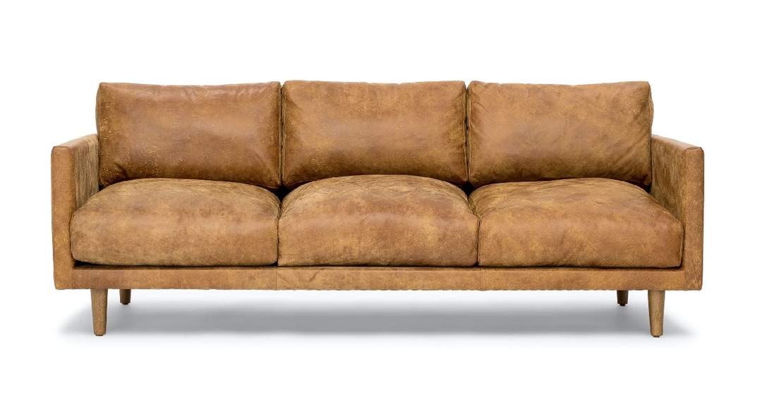 18 Types and Styles of Sofas and Couches Explained [With Photos]