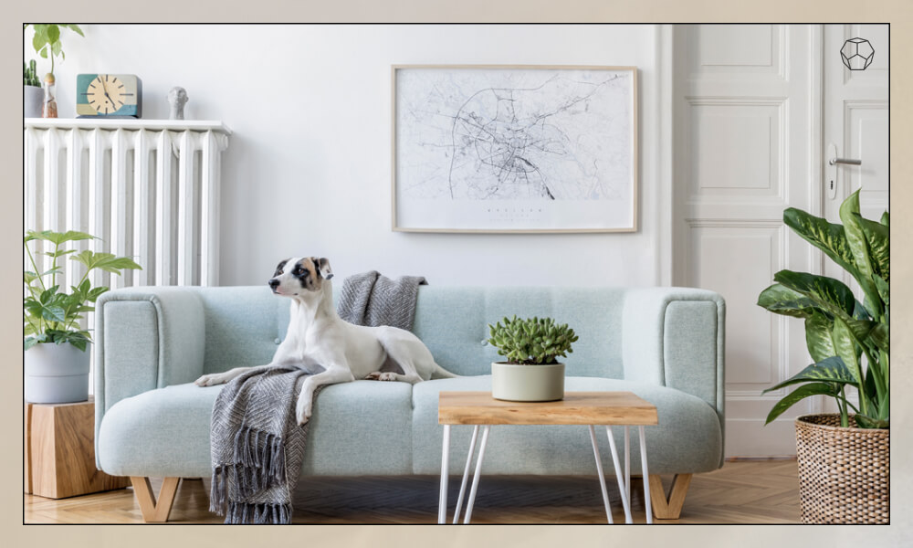 How to Decorate Above Your Sofa: 16 Inspiring Ideas