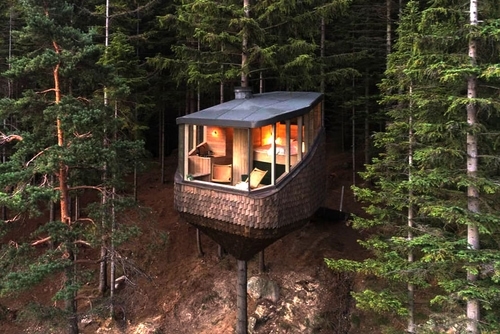Woodnest Forest Cabin