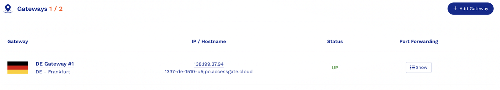 VPN with Static IP Explained | GoodAccess®