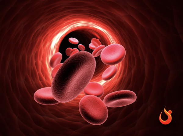 Blood Oxygen Levels and Infrared Training