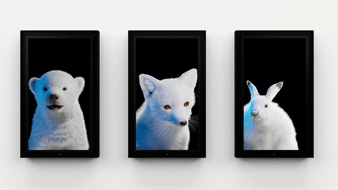 Dominic Harris, Official Artist Website