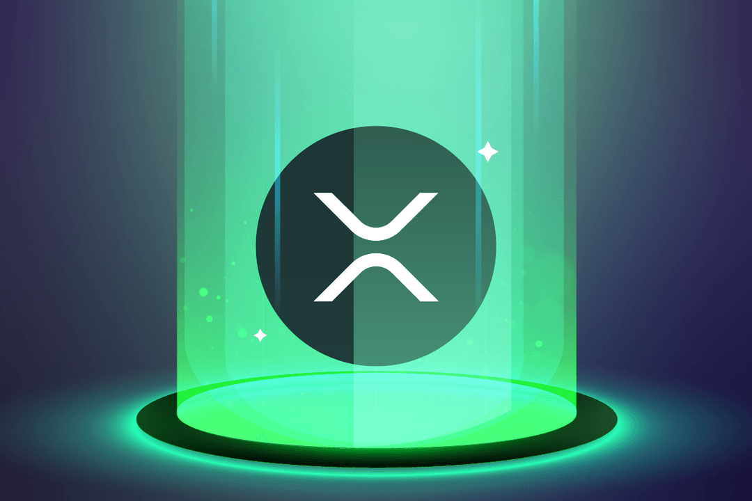 Despegá al mundo cripto con el Blog de Ripio