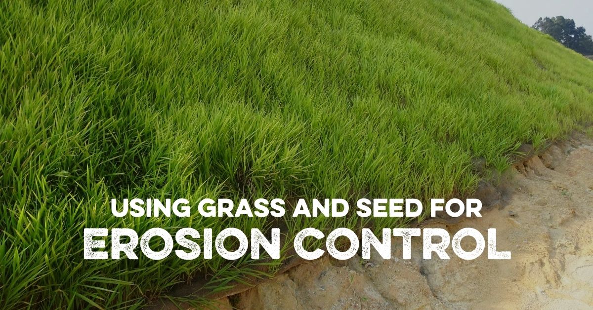 Using Grass and Seed For Erosion Control