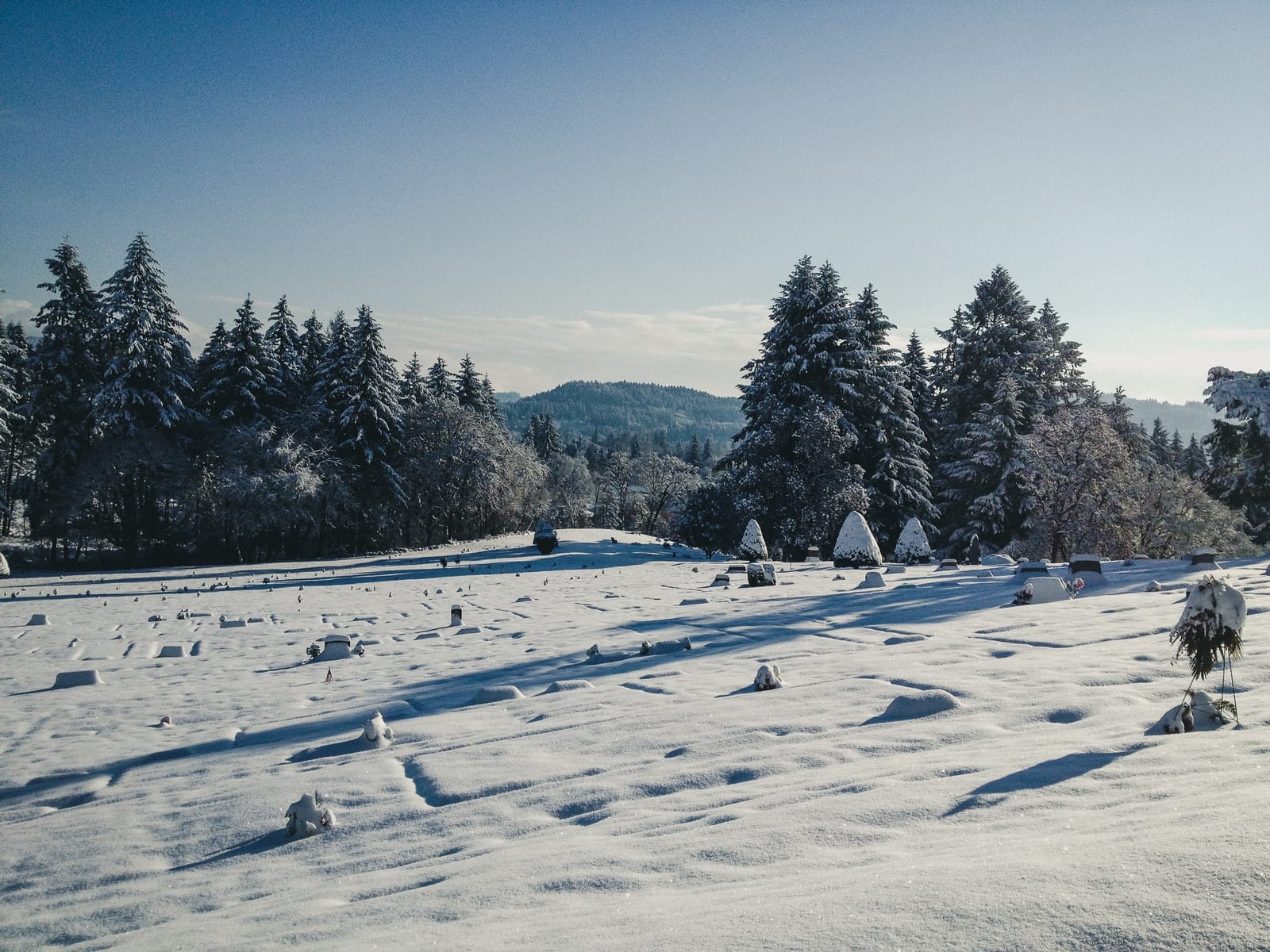 150 Years of History | Fir Grove Cemetery