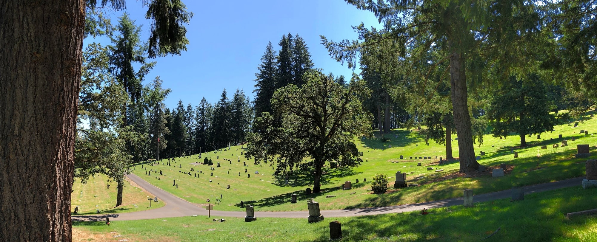 Peaceful Memorial Settings | Fir Grove Cemetery