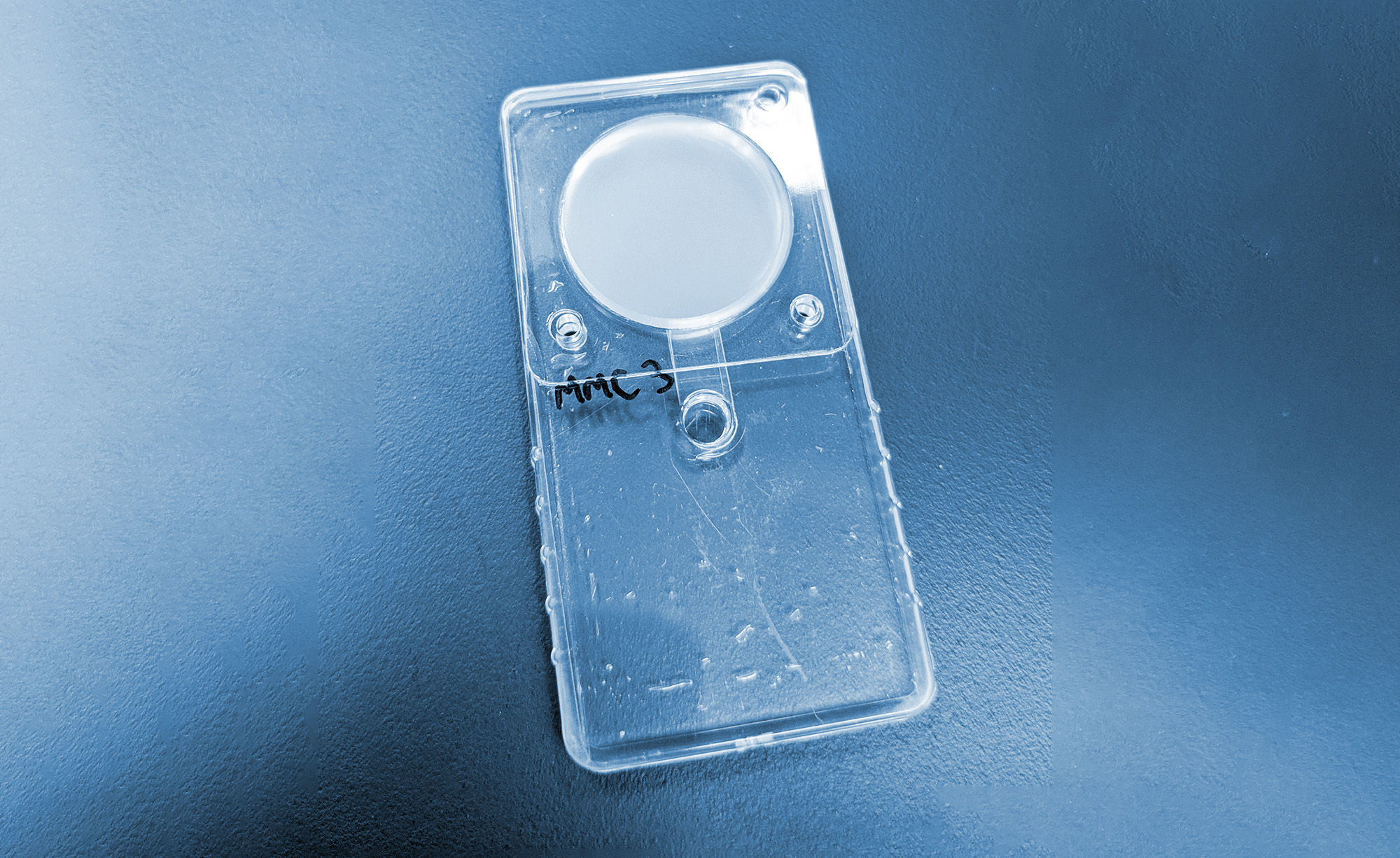 Soloosion | ZyMōt Multi 850