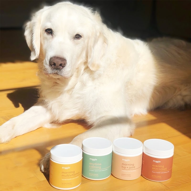 Reggie Dog Supplements Review | The Quality Edit