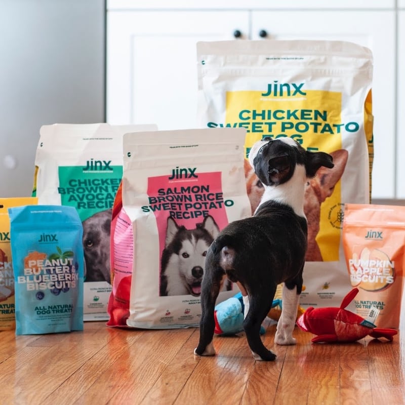 Jinx Dog Food Review | The Quality Edit