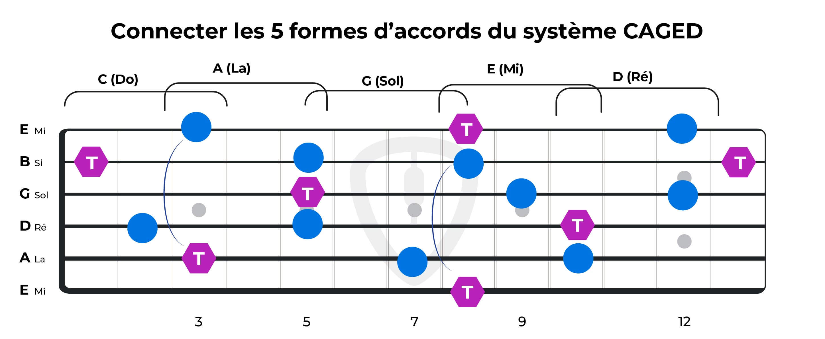 CAGED - accords et gammes guitare | Solfège - MyGuitare
