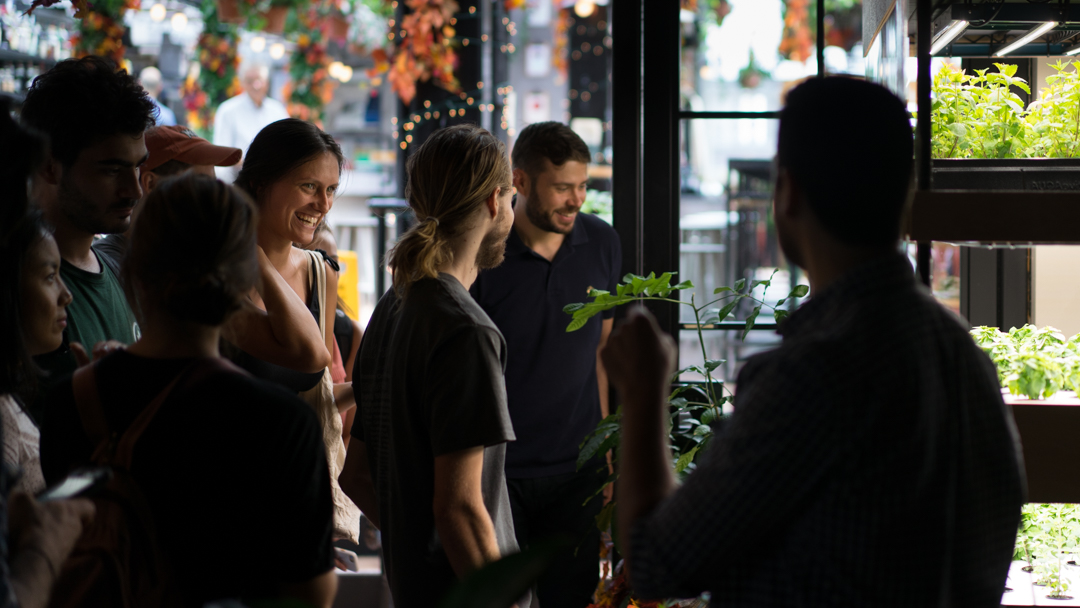 Custom vertical farm systems for restaurants and bars