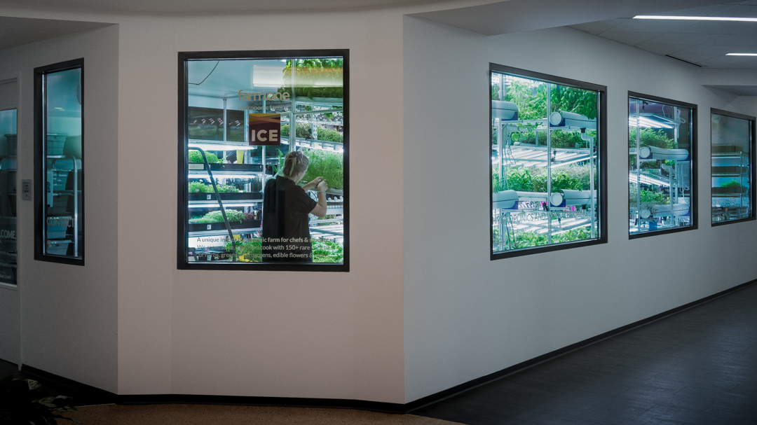 The Farm at ICE - Culinary School Onsite Farm