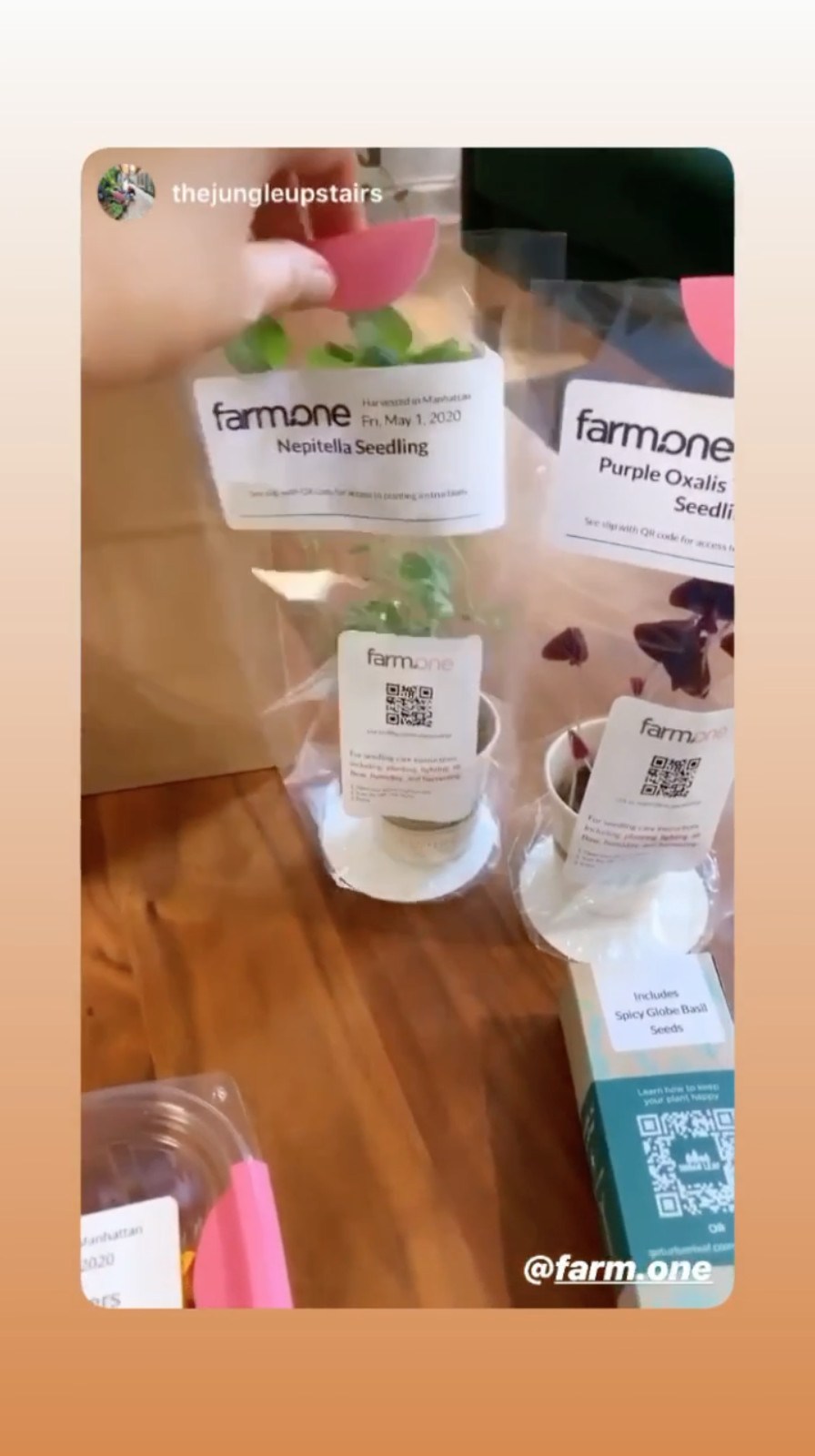 Influencer Unboxing - @thejungleupstairs