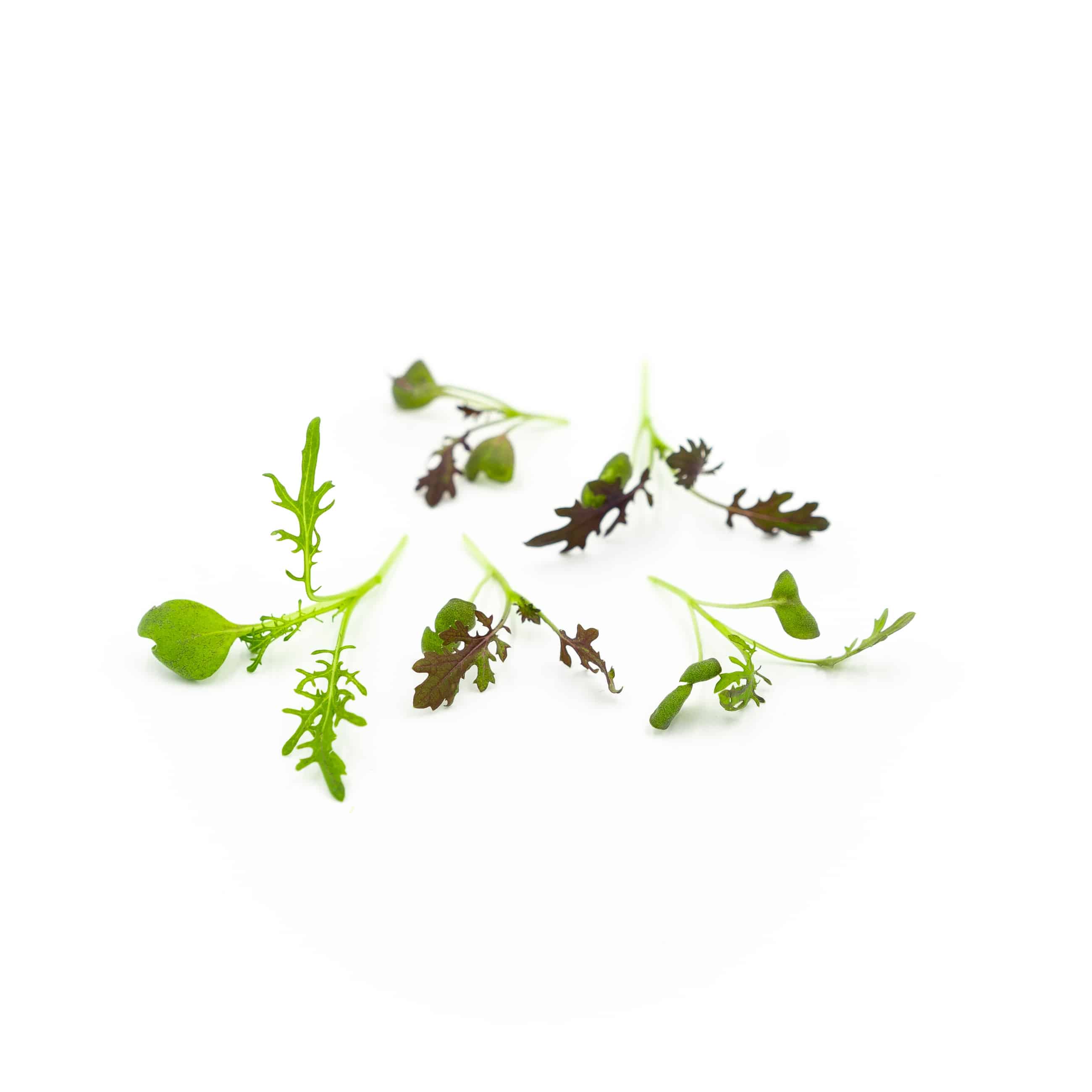 Micro Ruby Streaks Mustard