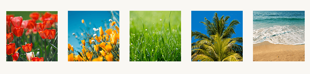 True Spring: A Comprehensive Guide | the concept wardrobe