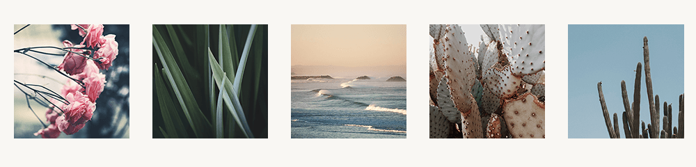 Soft Summer: A Comprehensive Guide | the concept wardrobe