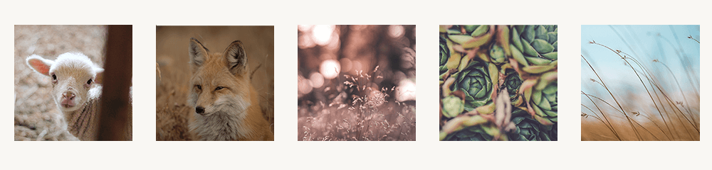 Soft Autumn: A Comprehensive Guide | the concept wardrobe