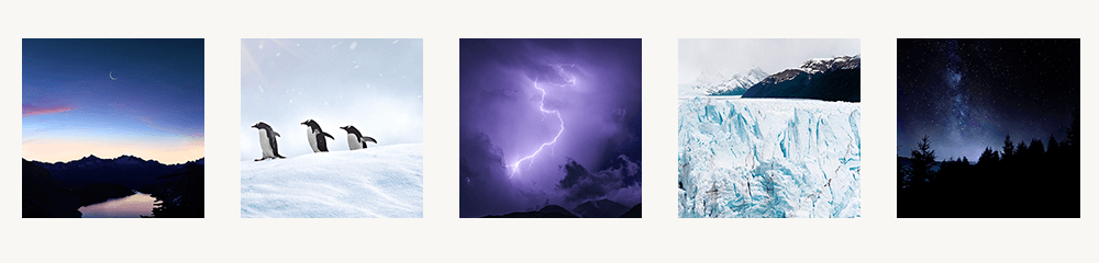 True Winter: A Comprehensive Guide | the concept wardrobe