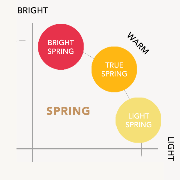 Complete Seasonal Guides - the concept wardrobe