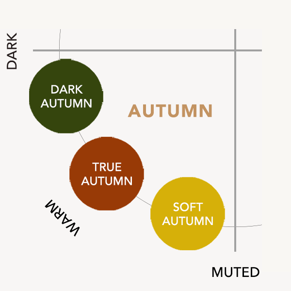 Complete Seasonal Guides - the concept wardrobe