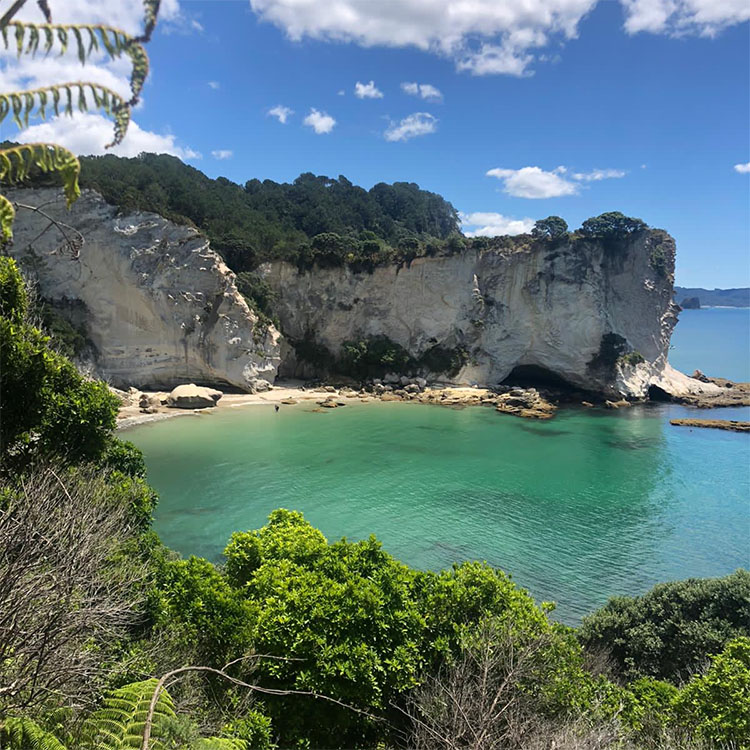 The best walks in the Coromandel Peninsula | Ensemble Magazine