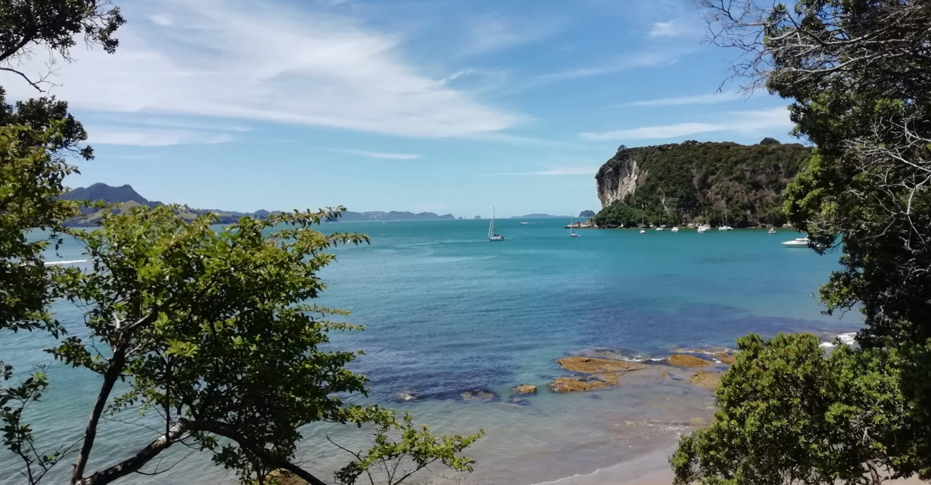 The best walks in the Coromandel Peninsula | Ensemble Magazine