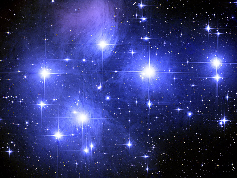 Māori creatives on what Matariki means to them | Ensemble Magazine