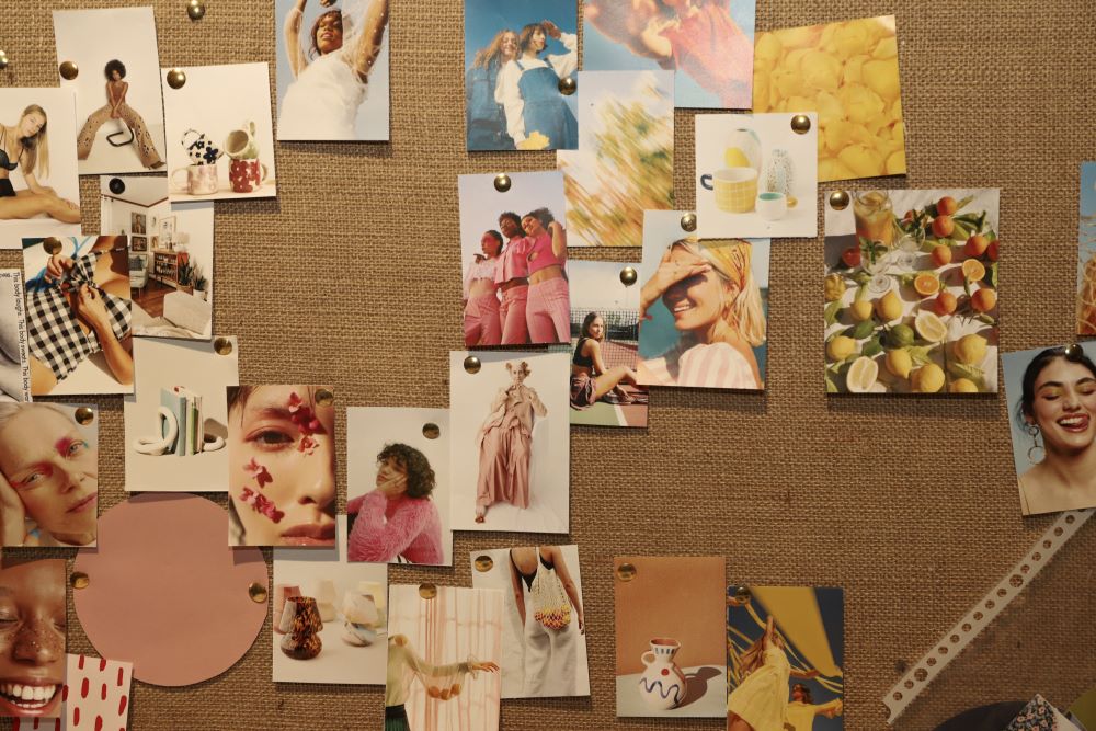 Why Wellington is the centre of sustainable style | Ensemble Magazine